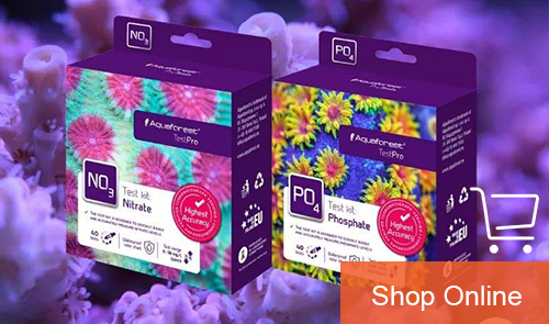 Home - Clearly Aquatics - Aquarium equipment & Koi Fish Northern ...