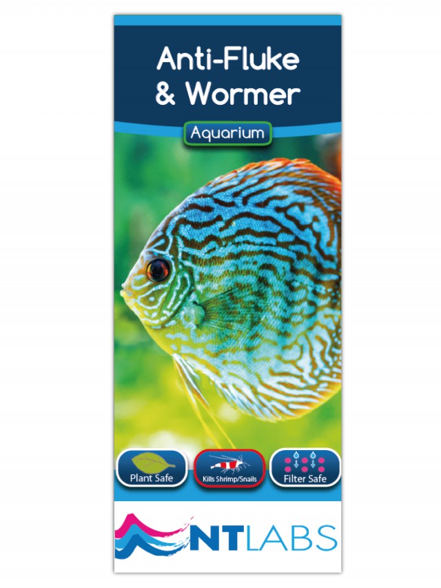 Aquarium Anti-Fluke & Wormer 100ml - Clearly Aquatics - Aquarium ...