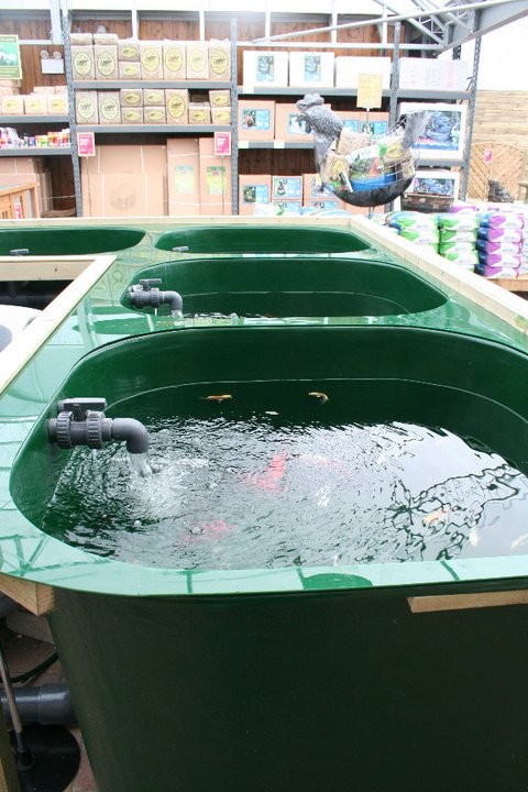 Dobbies Lisburn – Installation of internal & external aquatic systems ...