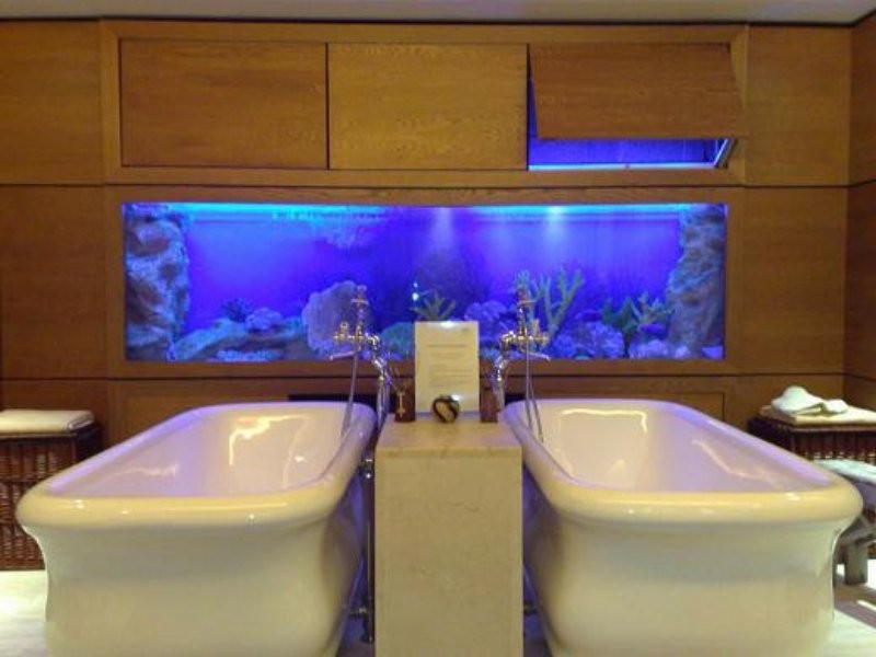 Tropical Aquariums Northern Ireland - Clearly Aquatics