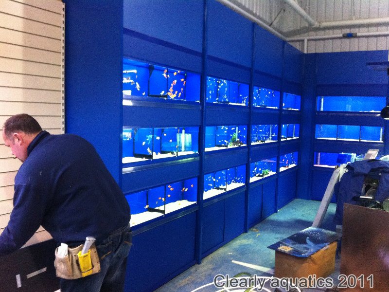 Bespoke Aquarium Installation Northern Ireland - Clearly Aquatics