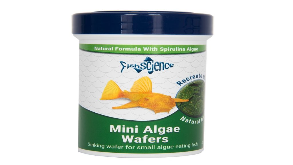 Mini Alagae Wafers - Clearly Aquatics